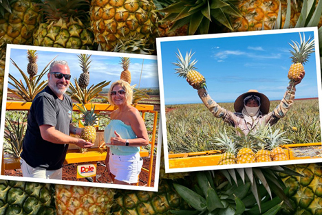 Dole begrüßt Besucher zu Tour auf einer authentisch arbeitenden hawaiianischen Ananasfarm ...